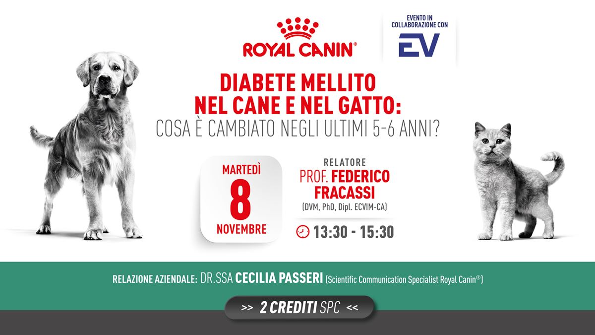 Diabete mellito nel cane e nel gatto: cosa è cambiato negli ultimi 5-6 ...