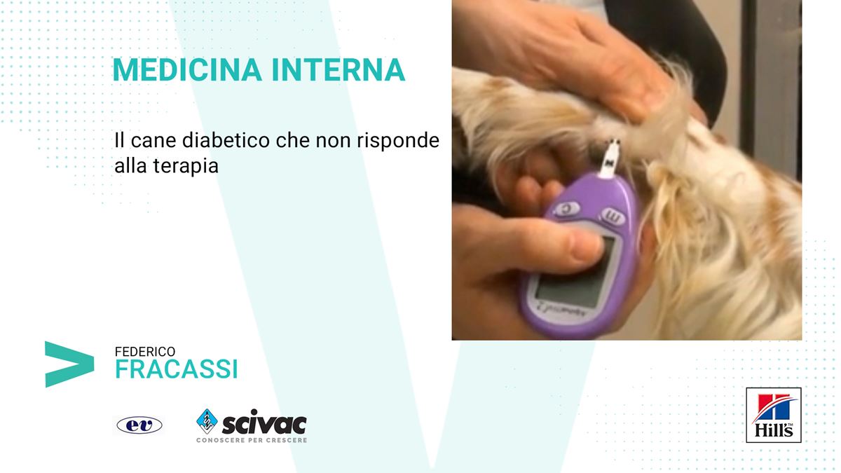 Il cane diabetico che non risponde alla terapia - VetChannel
